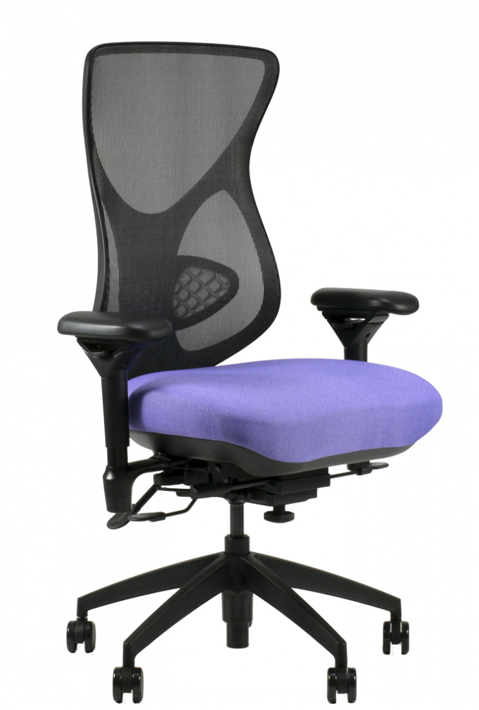 Ergonomic Chairs - BodyBilt