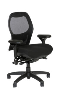Ergonomic Store - BodyBilt