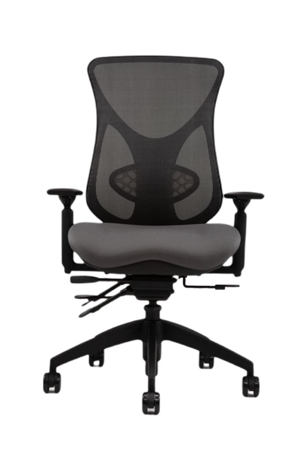Shop Variety of Customizable, Ergonomic Chairs & Accessories Online